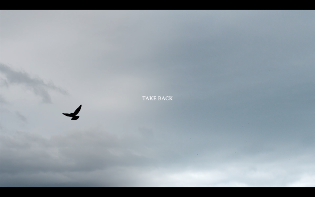 Take Back | PatMay Projects