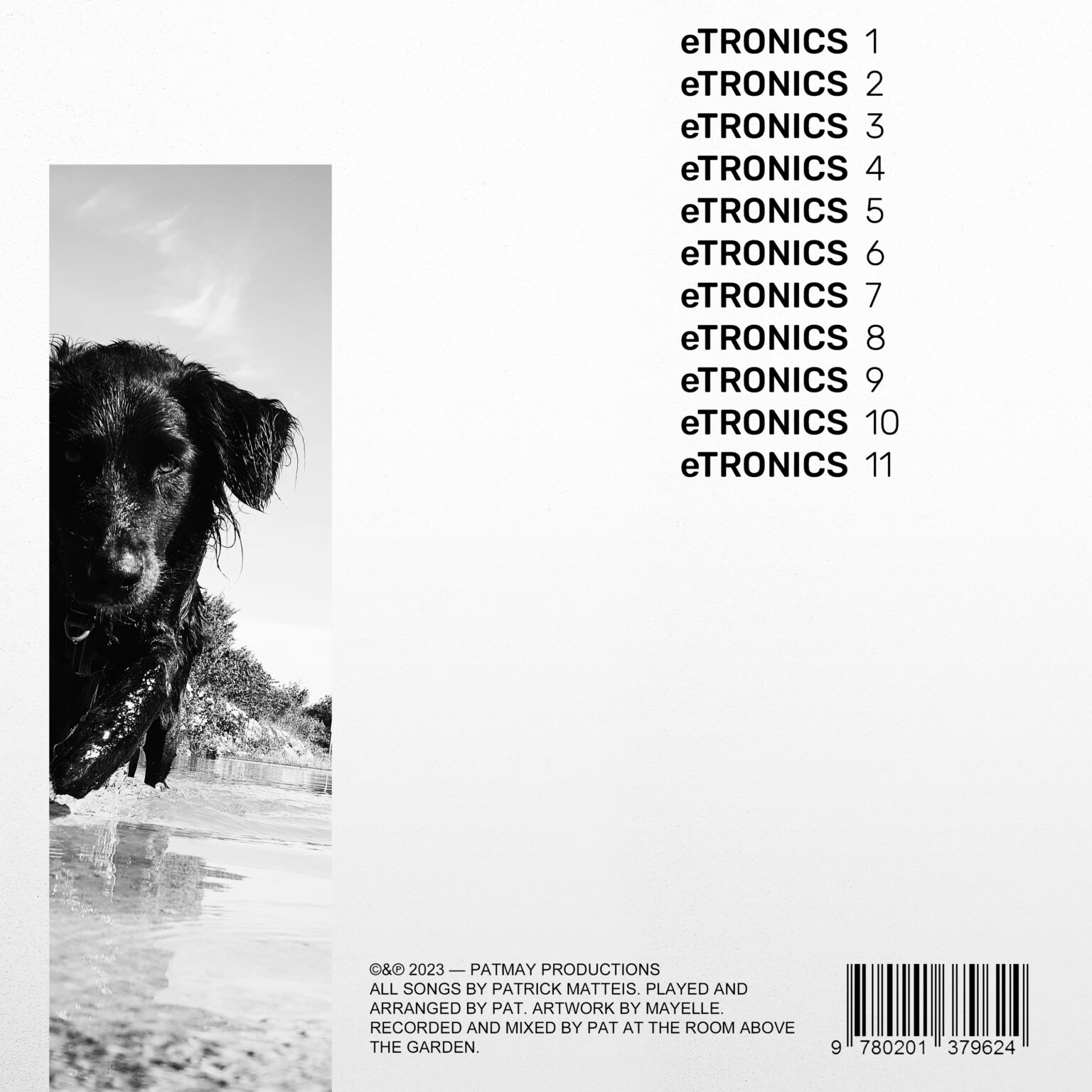 eTRONICS | PatMay Projects